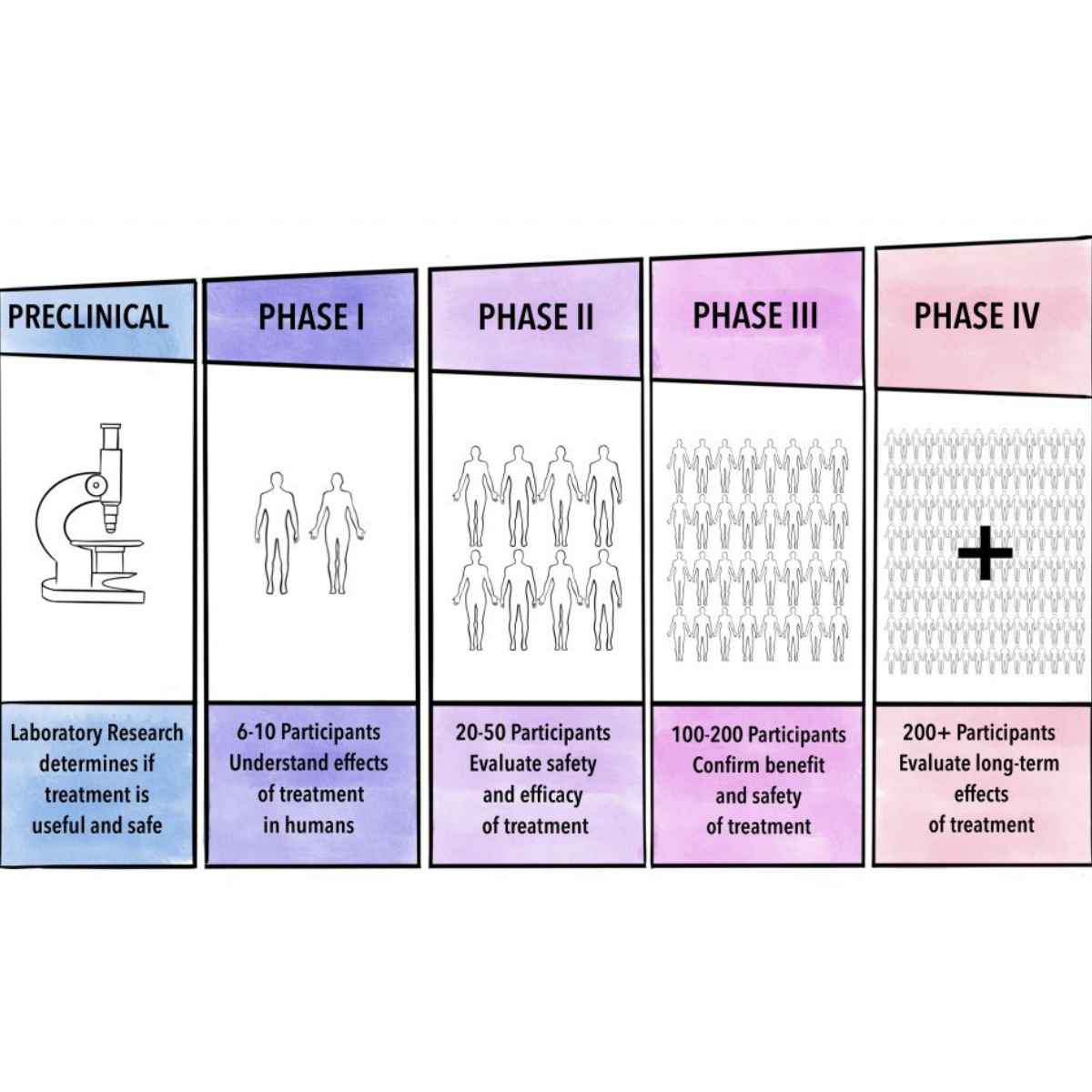 What Are Clinical Trials and How Do Clinical Studies Work?